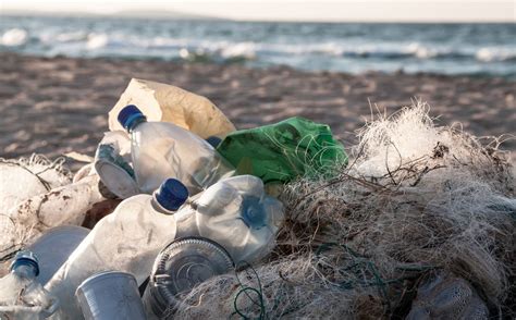 2050年には海にいる魚よりプラスチックのゴミの方が多くなる！？人気モデル・ローラさんのsns投稿から海の環境問題について考えてみよう！