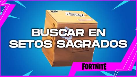 Fortnite Cómo completar el desafío Consumir objetos para buscar en Setos Sagrados en la