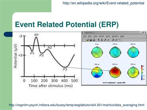 Ppt Functional Brain Signal Processing Eeg And Fmri Lesson 4 Powerpoint Presentation Id 4074610