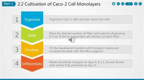 Caco 2 Cell Permeability Assay