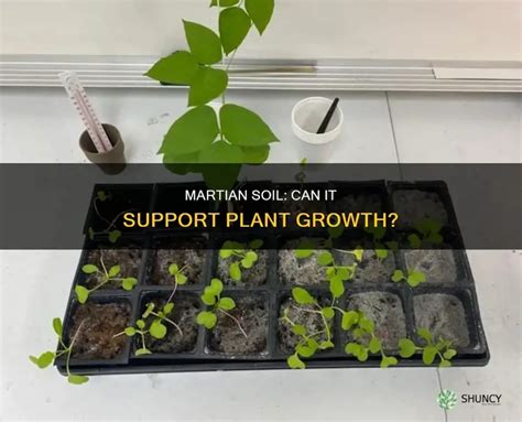 Martian Soil Can It Support Plant Growth Shuncy