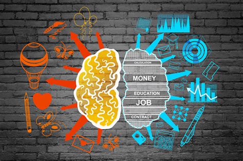 벽돌 벽 배경에 창의적이고 분석적인 측면과 창조적 인 두뇌 스케치 과학 정신 창의성 개념 3d 렌더링 3차원 형태에 대한 스톡 사진 및 기타 이미지 Istock