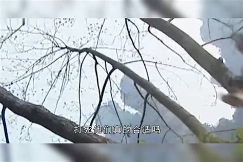 孙悟空打死的六个凡人，把他们名字全连起来，会发现一个神秘规律凡人孙悟空名字