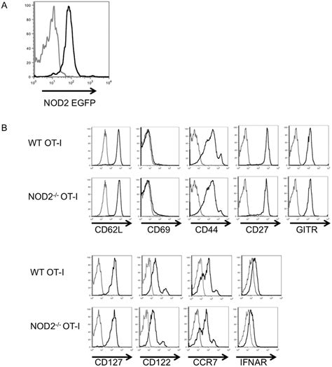 Nod2 Deficient Tcr Transgenic Cd8 T Cells Exhibit A Normal Surface