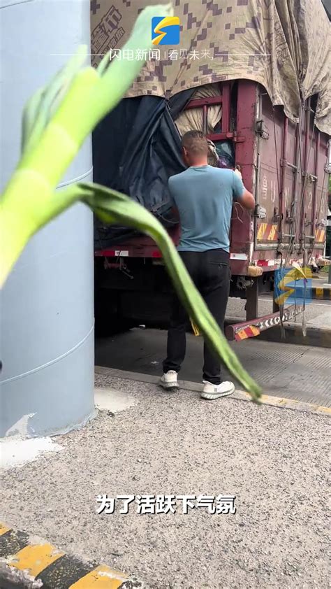 视频暂时不能查看
