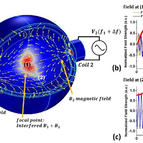 A The 3d Rat Brain Model And Mti Coils Configuration Used In Comsol