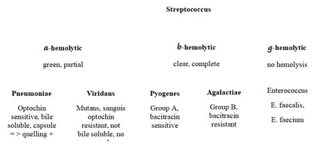 Rapid Acquisition Of Key Concepts Infections Prepladder