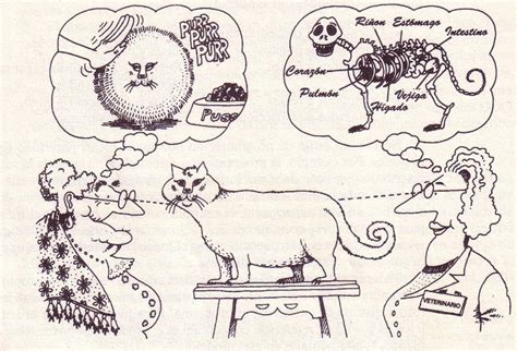 Programacion Orientada A Objetos Mind Map