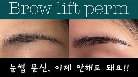 집에서 셀프 브로우리프트펌 하기2년째 샵안가고 혼자함유지관리 꿀팁눈썹 문신하면 짱구 눈썹되는사람 모여~연예인들이 가진