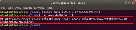 Bash Base64 Encode And Decode