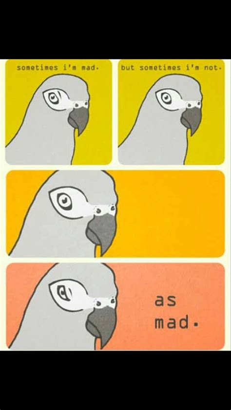 The Best Birb Memes Memedroid
