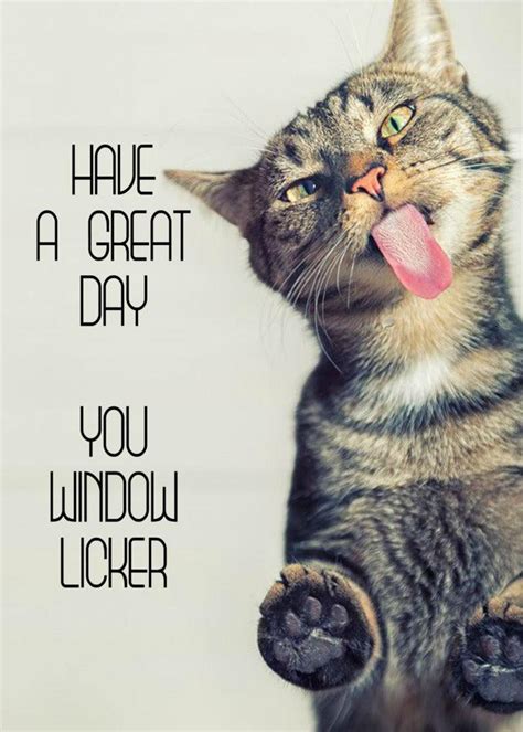 Window Licker Insulting Birthday Card Twisted Ts