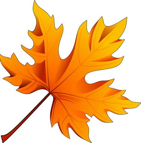 Autumn Maple Leaf Vector Illustration Maple Leaf Vector For Logo Icon