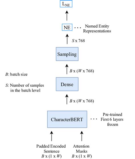 Model Clner For Learning Named Entity Representations Download