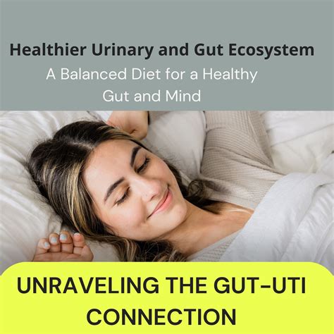 Gut Health And Uti Recurrence Probiotic Solutions For Breakthrough