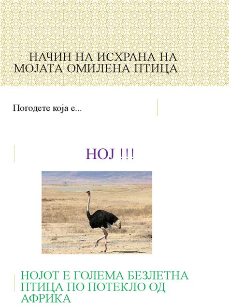 Начин на исхрана на мојата омилена птица Pdf