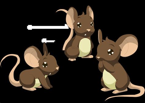 Mouse Transformice Wiki Fandom
