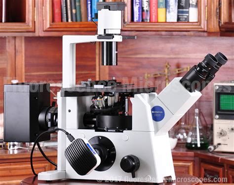 Fluorescence Microscopes Olympus Ix51 Inverted Fluorescence And Phase