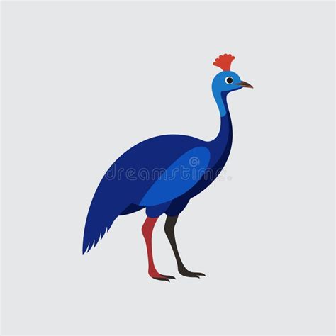 Magnifique Dessin Vectoriel De Cassowé Doiseau Illustration Stock