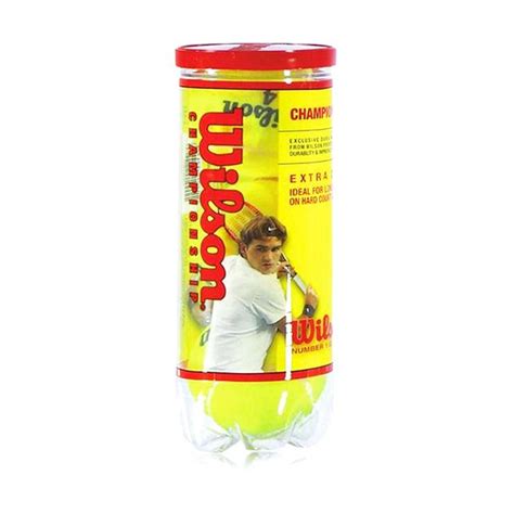 Caja Pelotas Wilson Championship Extra Duty
