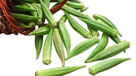 Long Farm Fresh Raw Green Lady Finger At Best Price In Chennai Kgp Store