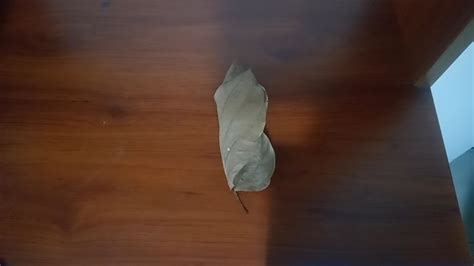 Organic Dectect Object Detection Dataset And Pre Trained Model By Maf