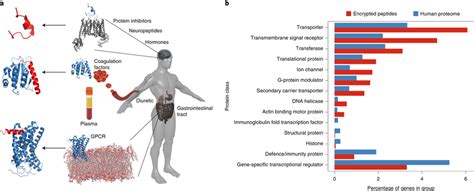Discovery Of Hidden Peptide Antibiotics Encoded In The Human