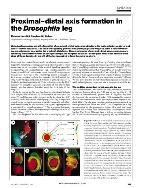 Pdf Proximal Distal Axis Formation In The Drosophila Leg