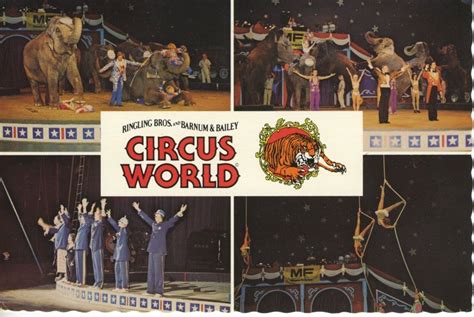 Circus World Ringling Bros Barnum And Bailey Multiview 1979 Vintage Postcard D24 Other
