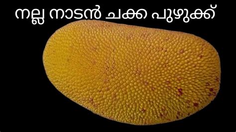 കൊതി തീരുവോളം കഴിക്കാൻ നാടൻ ചക്ക പുഴുക്ക്😋 Chakka Puzhukku Recipe