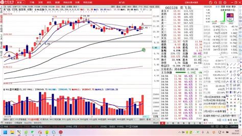 浪潮信息，拓维信息，英飞拓，三六零，汉王科技，中国电信 Youtube