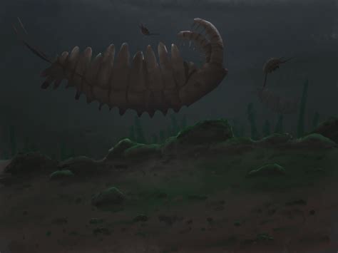 Tamisiocaris Вымершие животные Твой Блог