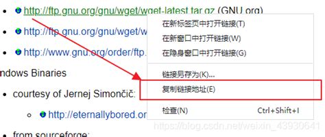 Linux系统中将wget更新到最新版本更新wget Csdn博客