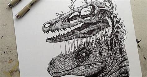Raptor Skull And Brain Drawing Imgur