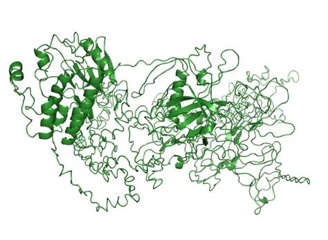 Kdr Kinase Insert Domain Receptor Bioinformatics For Dentistry
