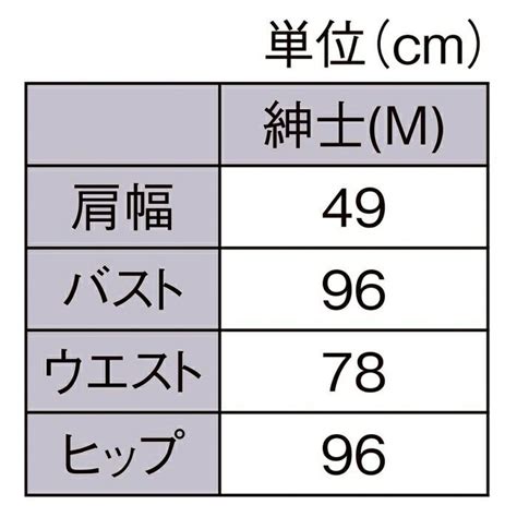 ストア・エキスプレス マネキン トルソー メンズ 男性pp製 紳士トルソー ブラック 1台61 810 41 25494 306
