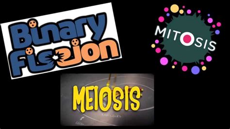 Binary Fission Mitosis And Meiosis Youtube