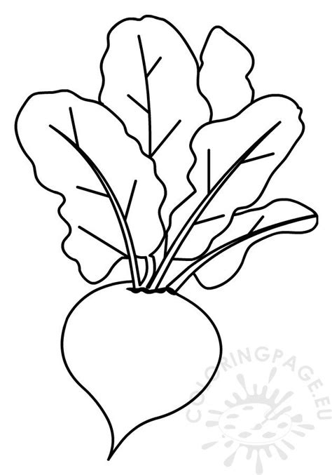 Beet Coloring Page