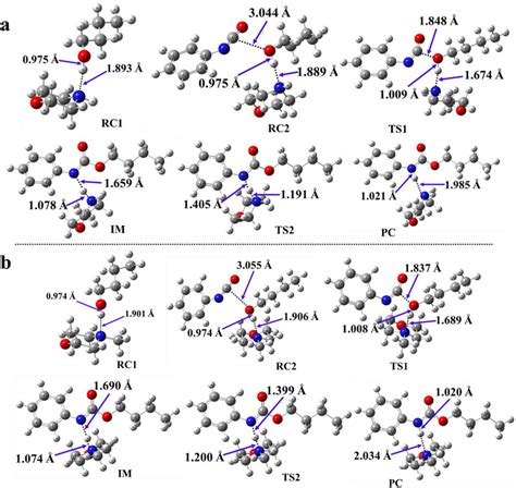 Optimised Structures Along The Reaction Pathway Between Phenyl Download Scientific Diagram
