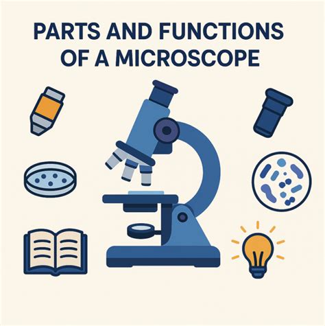 Beginners Guide How To Operate Microscope