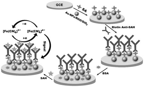 Electrochemical Immunodetection Method Of Total Homocysteine Eureka