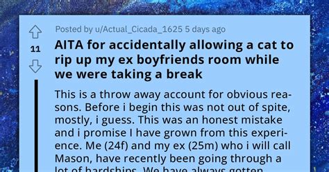 Woman Gets Back At Cheating Ex By Messing Up His Stuff And Claims A Stray Cat Did It But Reddit
