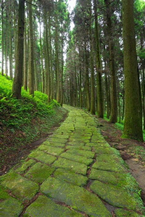 「龍門司坂」大河ドラマ「西郷どん」「篤姫」「龍馬伝」のロケ地 ピクスポット 絶景・風景写真・撮影スポット・撮影ガイド・カメラの使い方