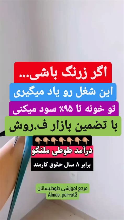 ‎حسین نزهتی‎ ‎🔴شبیه کدوم رفیقته؟😅👇🏽 🔴میدونی چرا باید فالو کنی؟؟ چون اینجا نگهداری از
