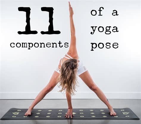 The 11 Components Of A Yoga Pose With Images Yoga Poses Yoga