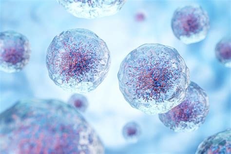 50 Facts About Adaptive Immunity