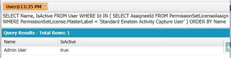 How To Query Permission Set License Assignments Using Salesforce Soql