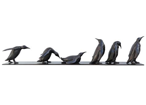 La Marche Des Manchots Damien Colcombet