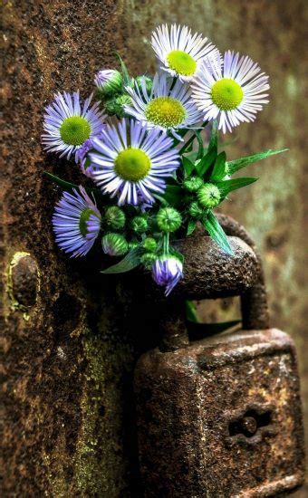 Samsung Galaxy S Ultra G Wallpapers Hd