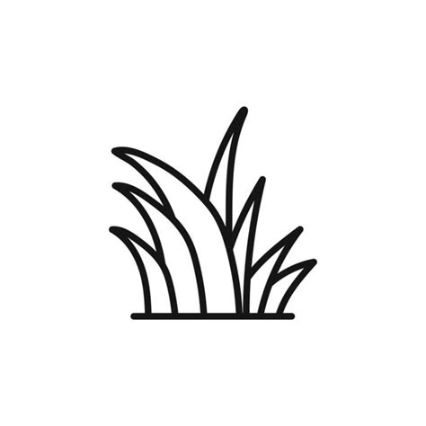 Grass Outline Vector Art Icons And Graphics For Free Download